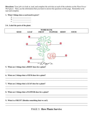 Plant life observation_journal | PDF