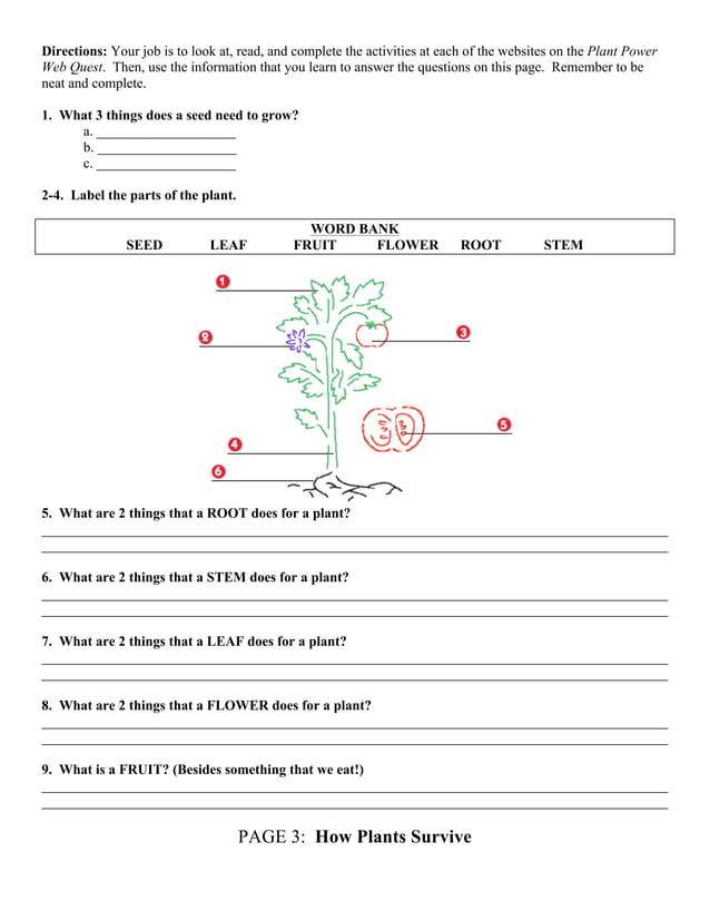 Plant life observation_journal | PDF | Gardening | Home & Garden