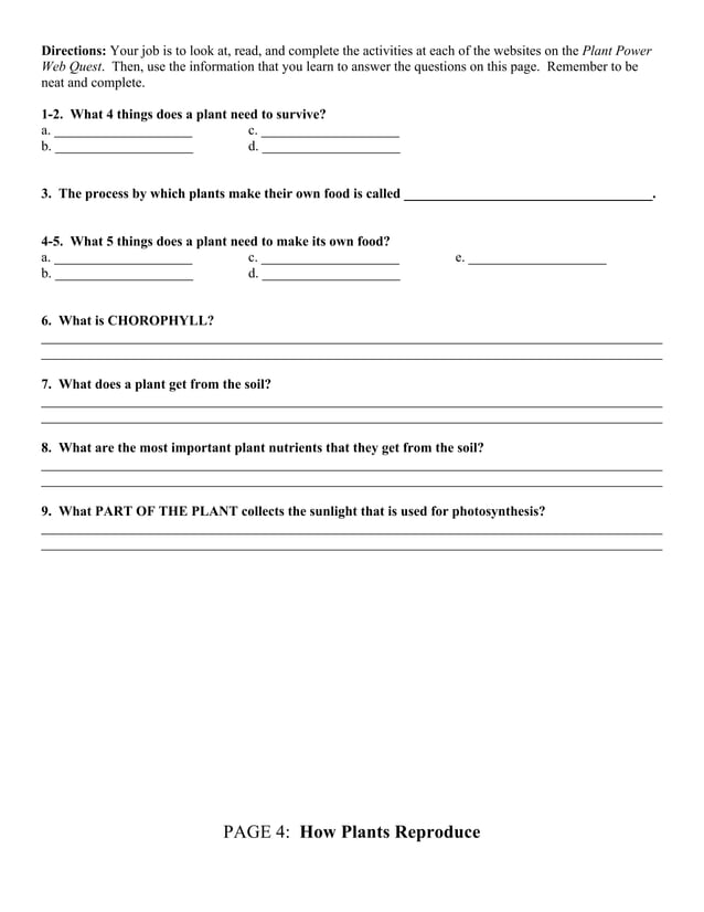 Plant life observation_journal | PDF | Gardening | Home & Garden