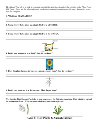 Plant life observation_journal | PDF