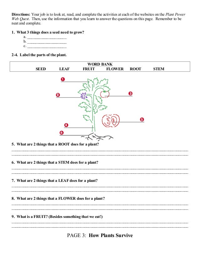 Plant life observation_journal