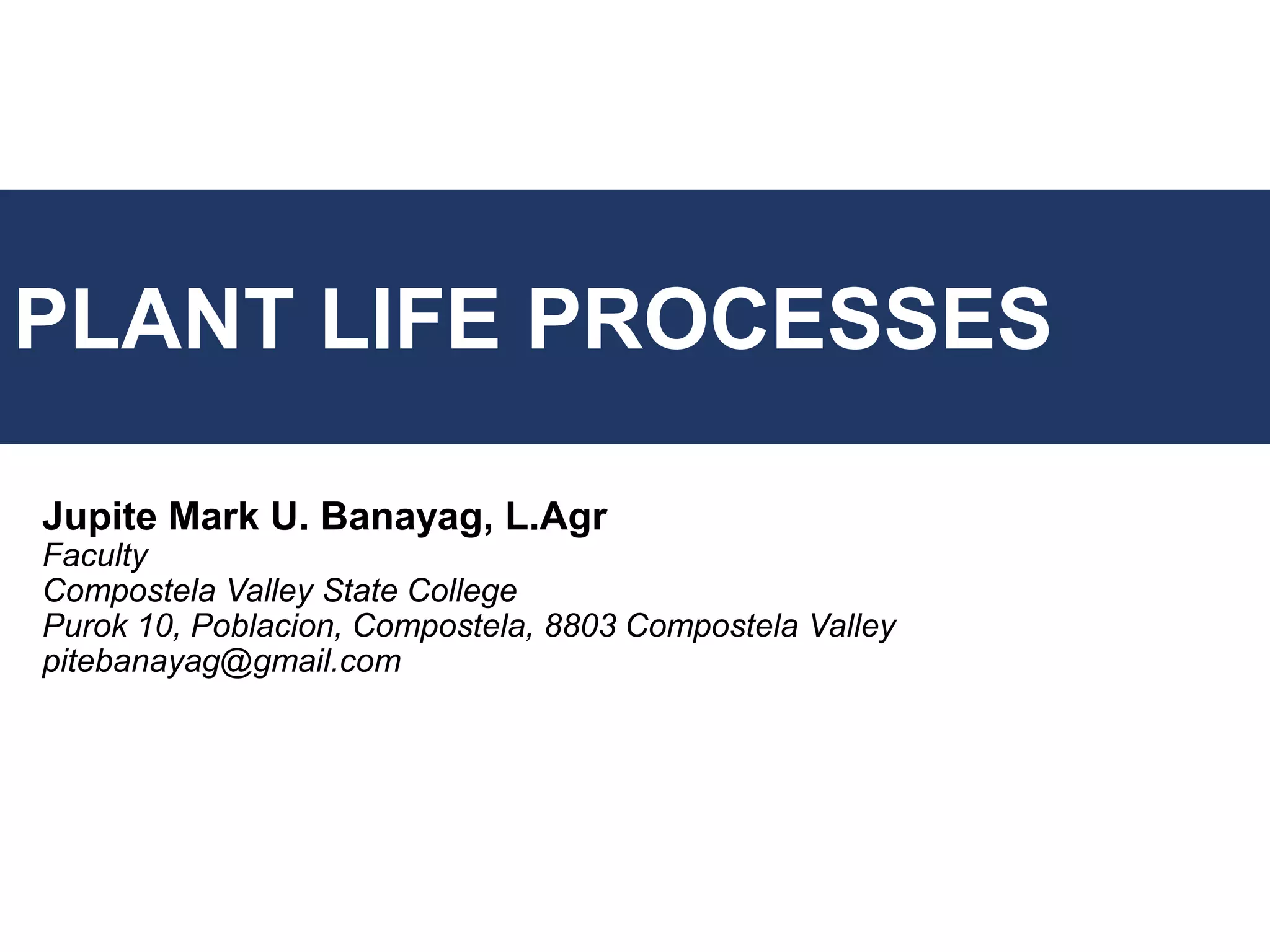 Plant Life Processes | PDF