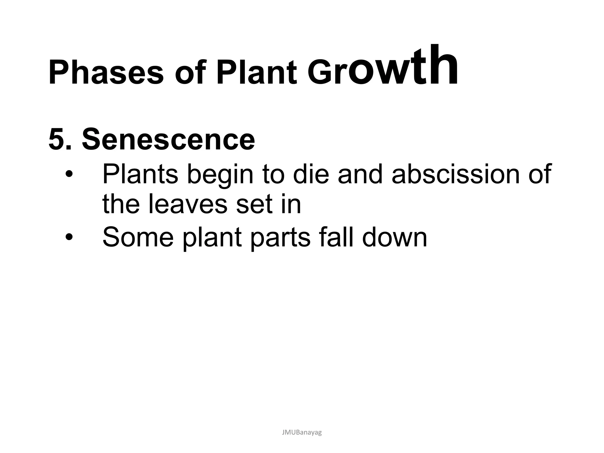 Plant Life Processes | PDF