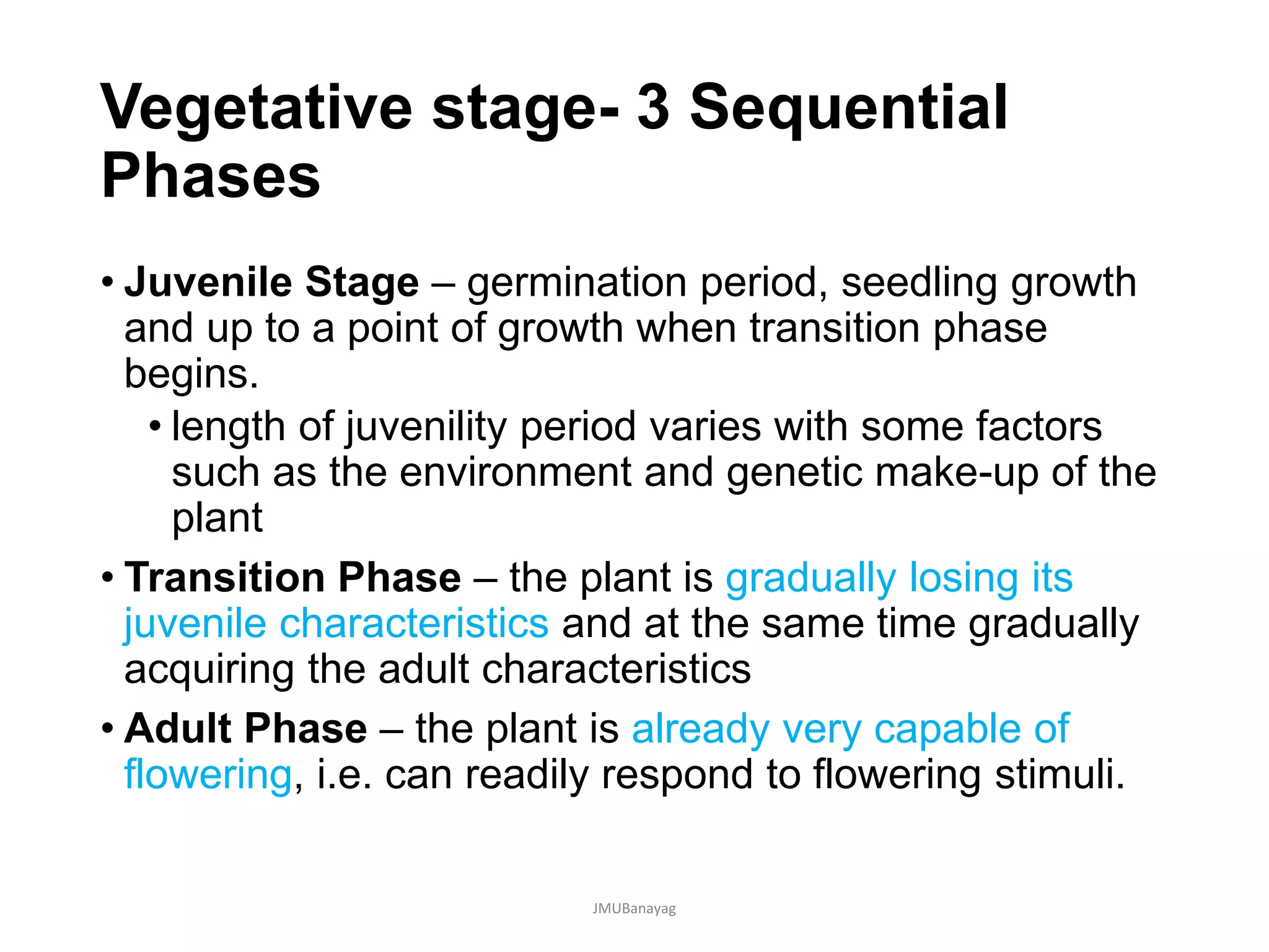 Plant Life Processes | PDF