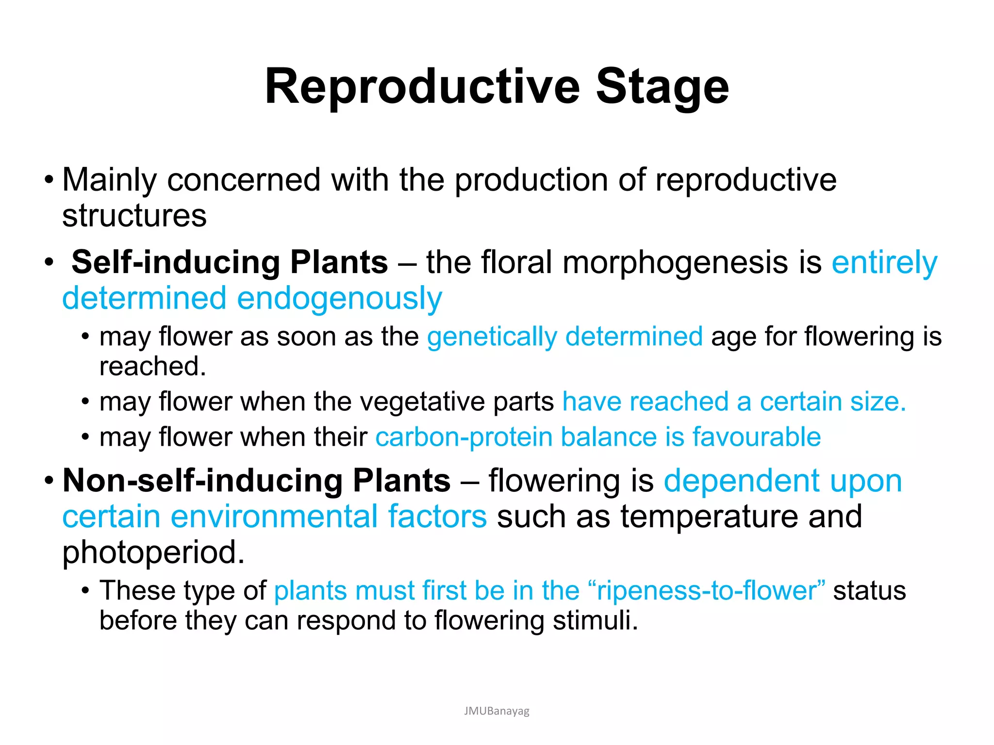 Plant Life Processes | PDF