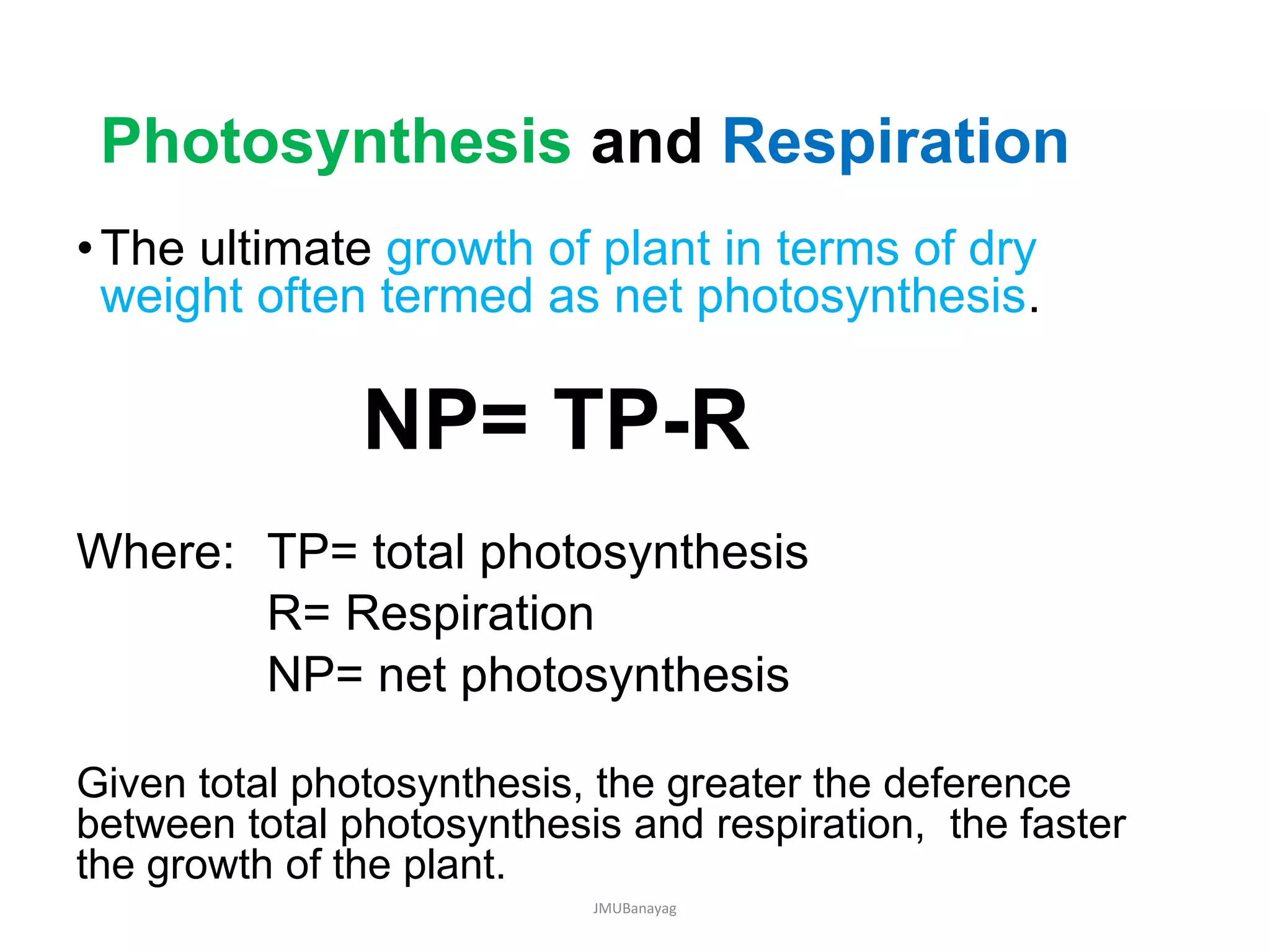 Plant Life Processes | PDF