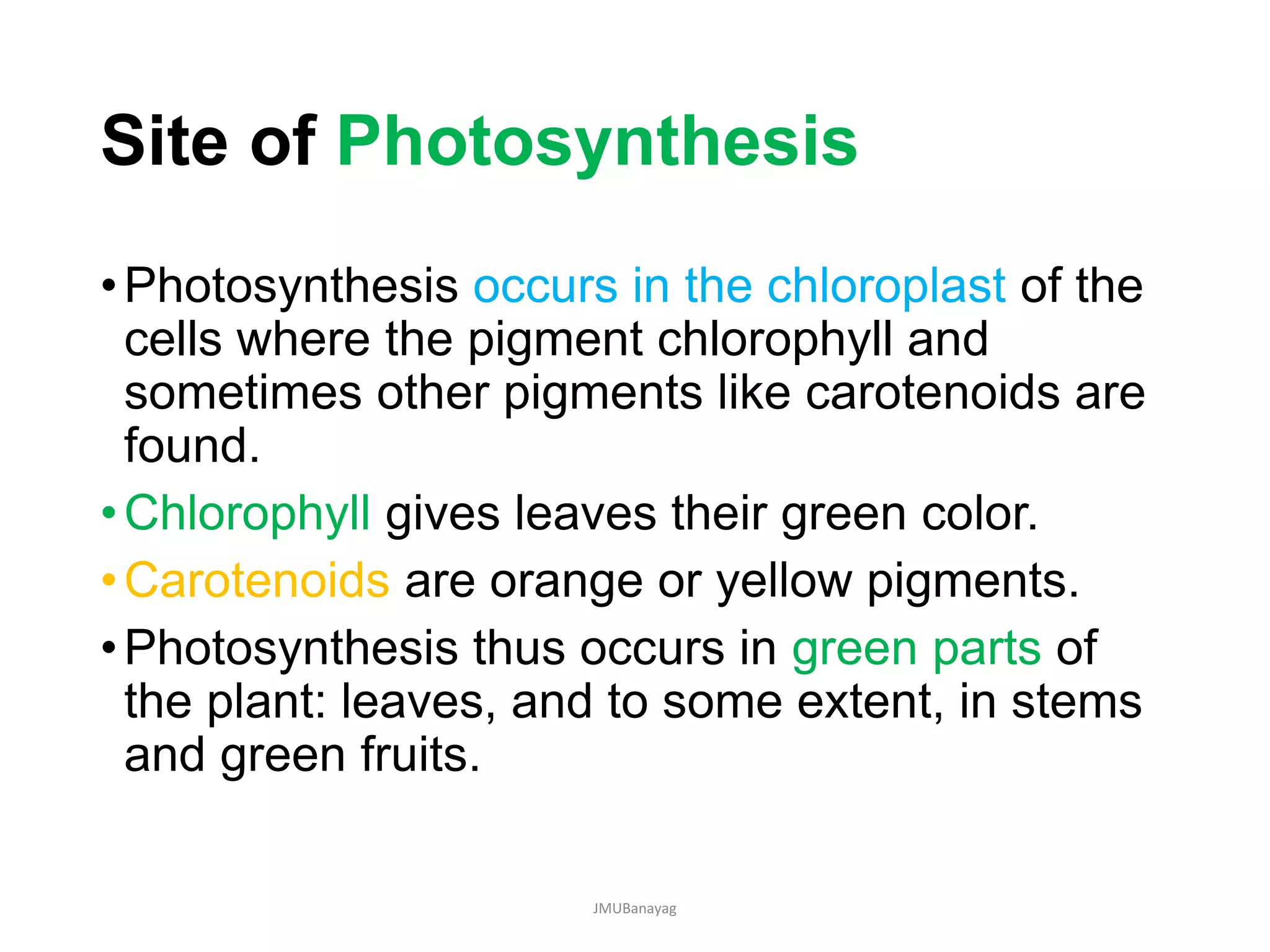 Plant Life Processes | PDF