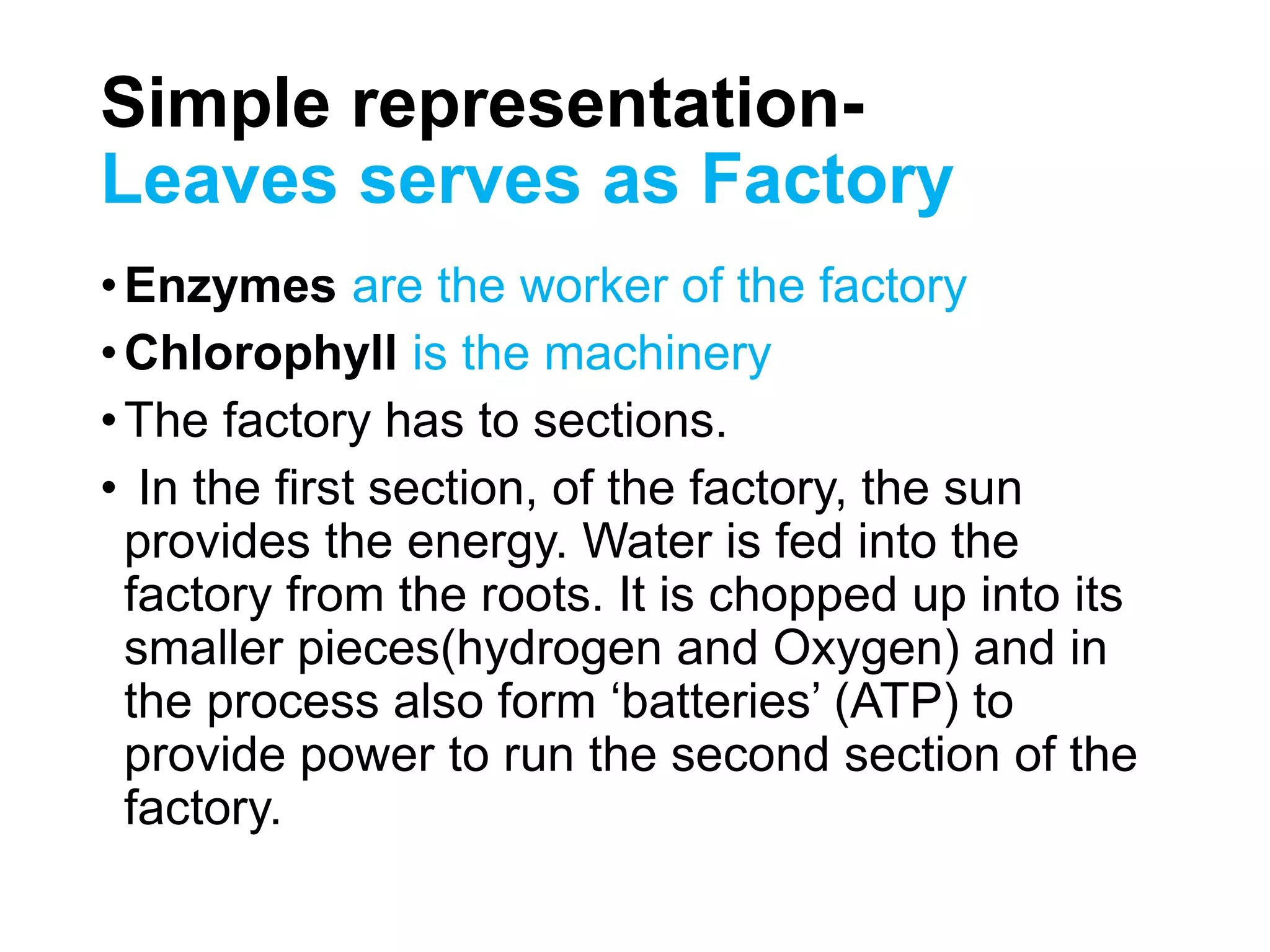 Plant Life Processes | PDF