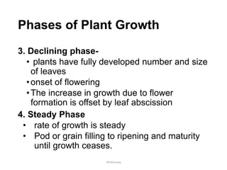 Plant Life Processes | PDF