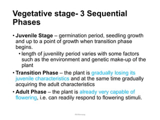 Plant Life Processes | PDF