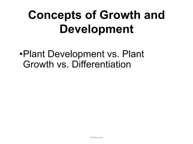 Plant Life Processes | PDF
