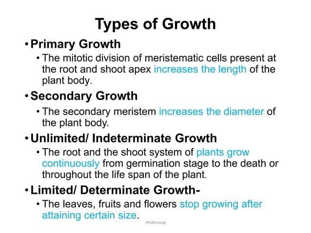 Plant Life Processes | PDF