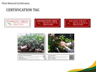 PLANT MATERIAL CERTIFICATION PRESENTED IN THE PHILIPPINES | PDF