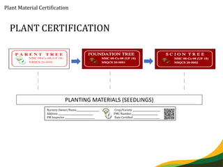 PLANT MATERIAL CERTIFICATION PRESENTED IN THE PHILIPPINES | PDF