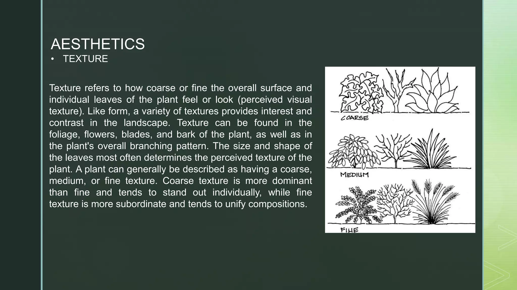 Plant material in landscape | PPTX