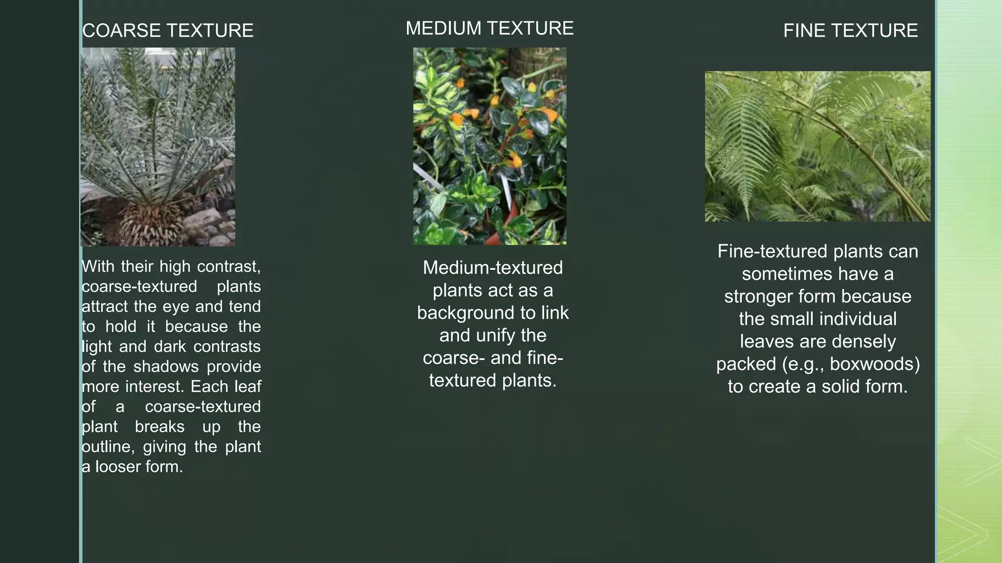 Plant material in landscape | PPTX