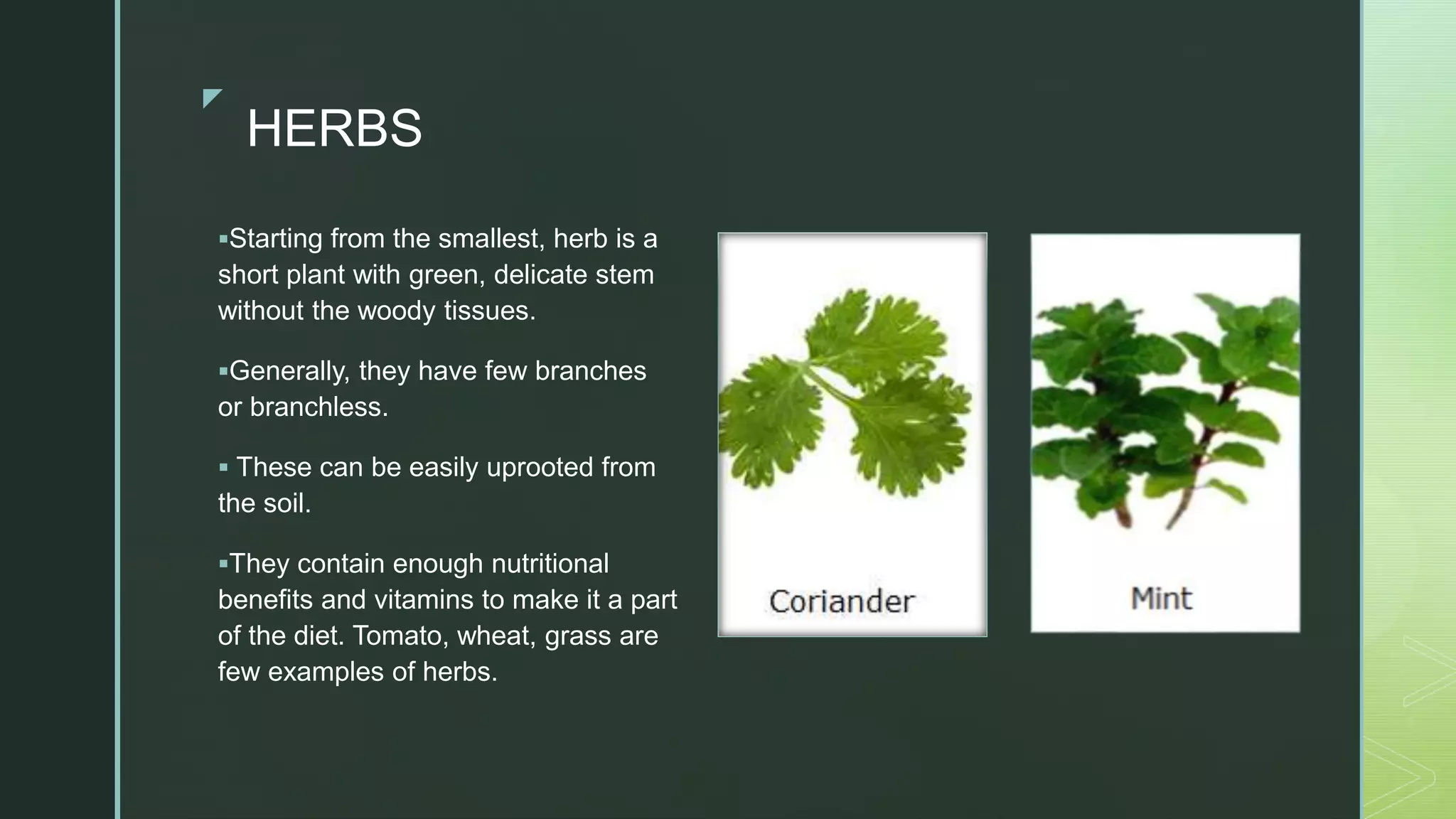 Plant material in landscape | PPTX