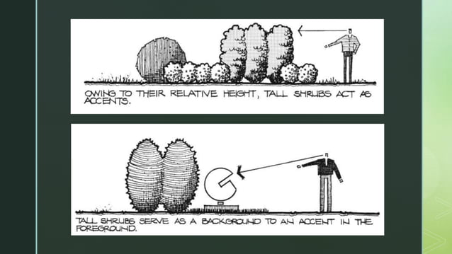 Plant material in landscape | PPTX