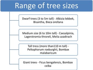 Plant specifications | PPTX