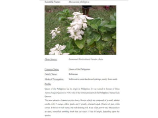 Plant specifications | PPTX