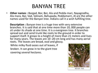 Plant specifications | PPT