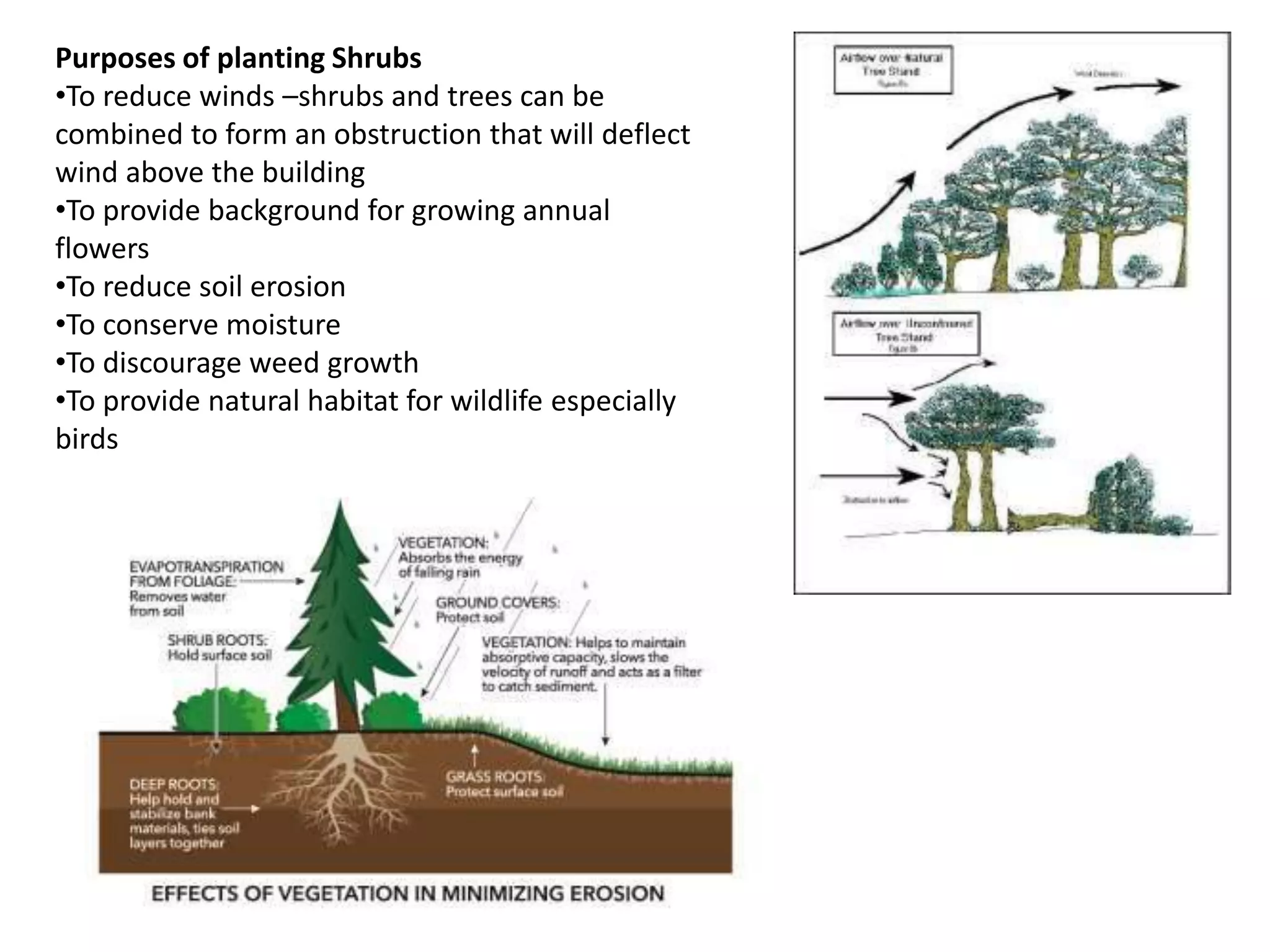 PLANT MATERIALS.pptx