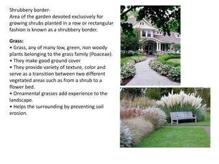 PLANT MATERIALS.pptx