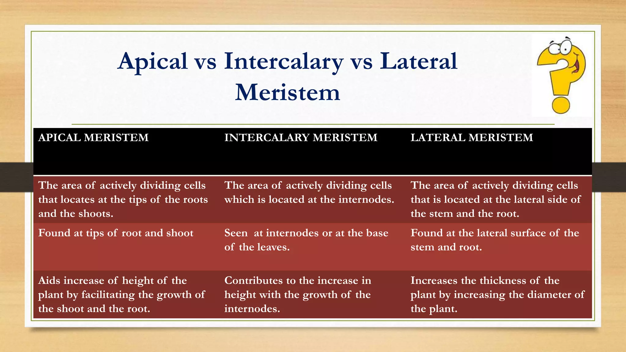 Plant meristem | PPTX