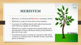 Plant meristem | PPTX
