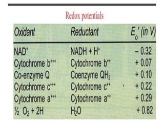 Plant metabolism and redox agents plant biochemistry ii | PPTX