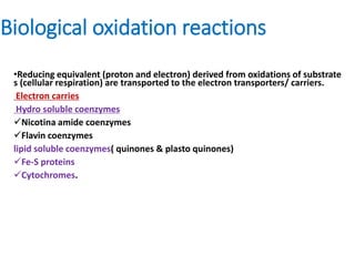Plant metabolism and redox agents plant biochemistry ii | PPTX
