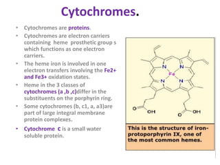 Plant metabolism and redox agents plant biochemistry ii | PPTX
