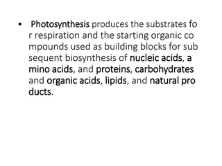Plant metabolism and redox agents plant biochemistry ii | PPTX