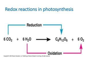 Redox Reaction Photosynthesis