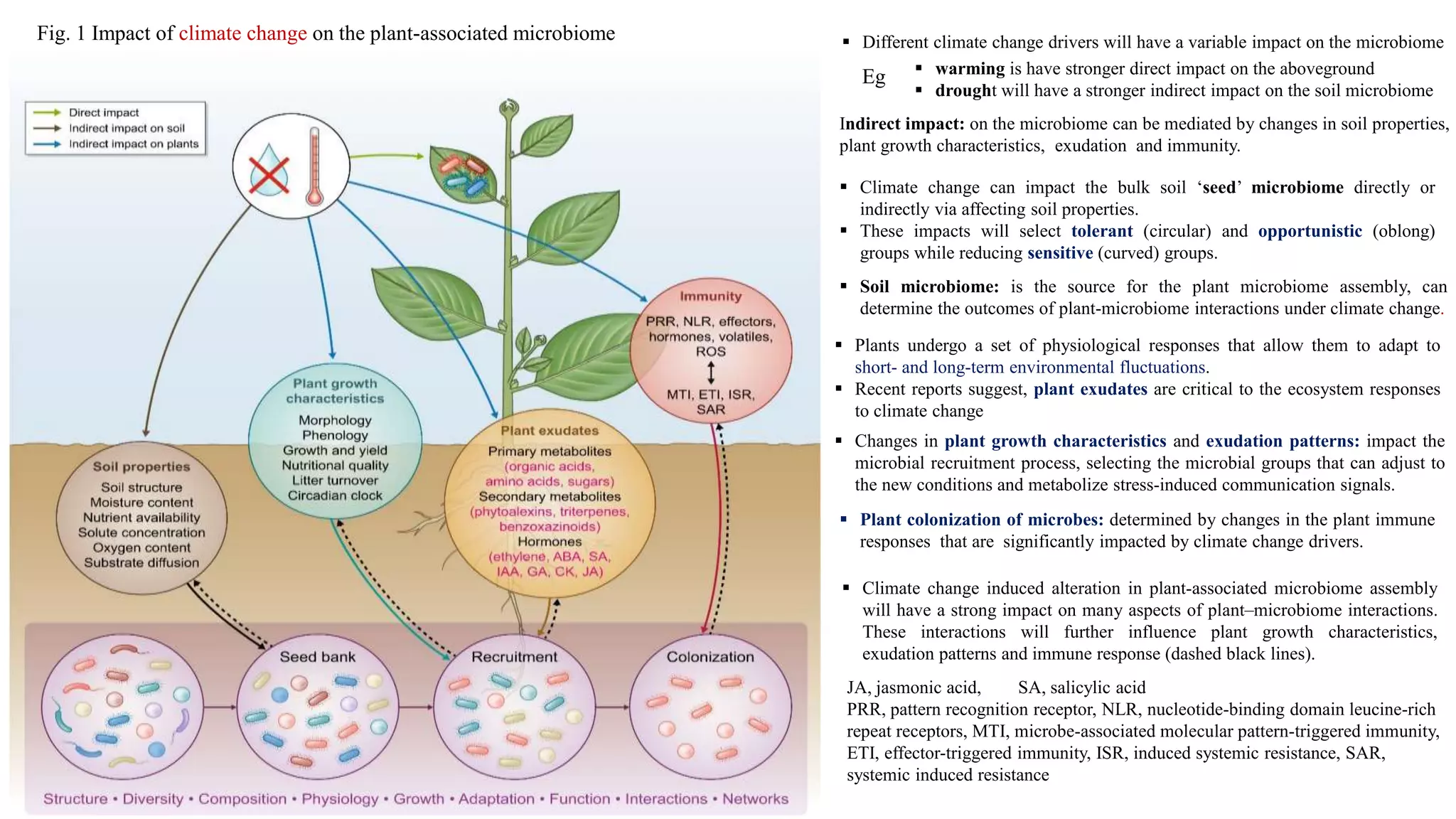 Plant microbe interaction.pptx