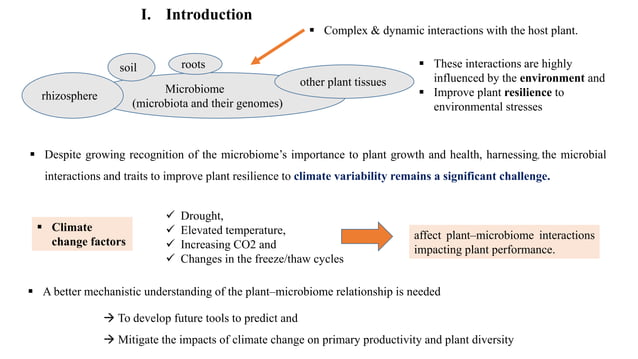 Plant microbe interaction.pptx