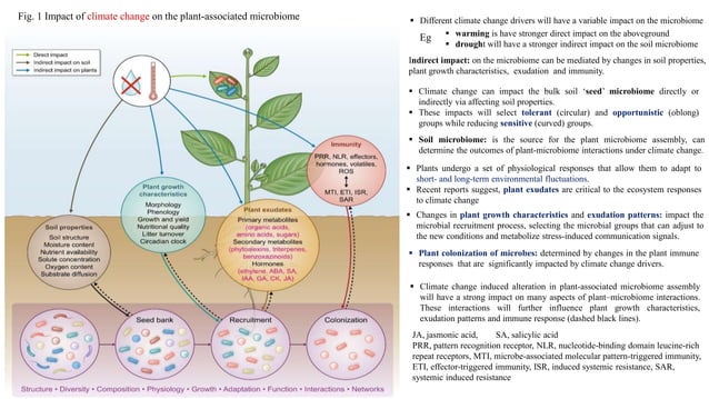 Plant microbe interaction.pptx