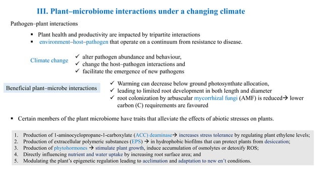 Plant microbe interaction.pptx