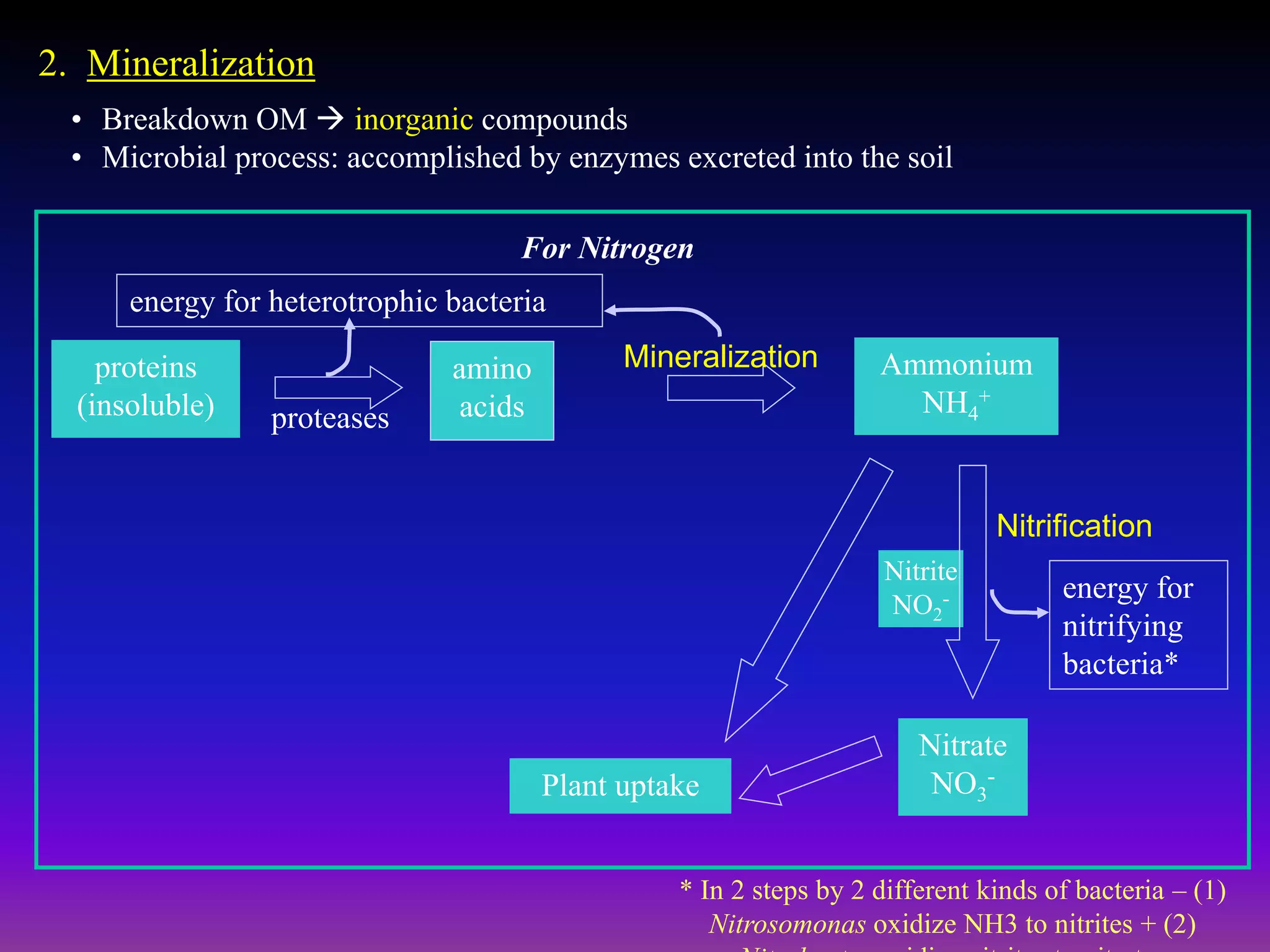 Plant microbe interaction by dr. ashwin cheke | PPTX