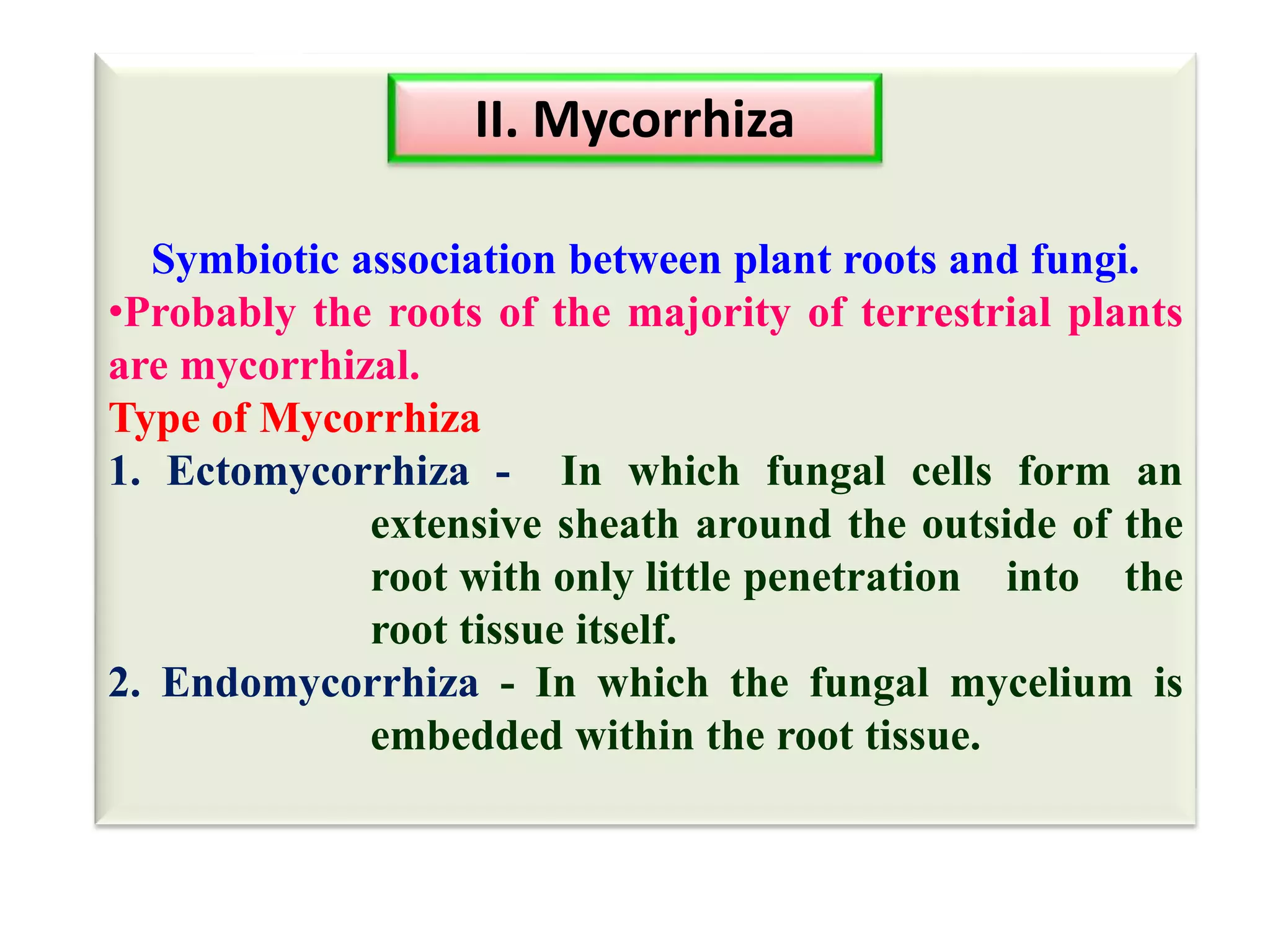 Plant microbe interaction by dr. ashwin cheke | PPTX
