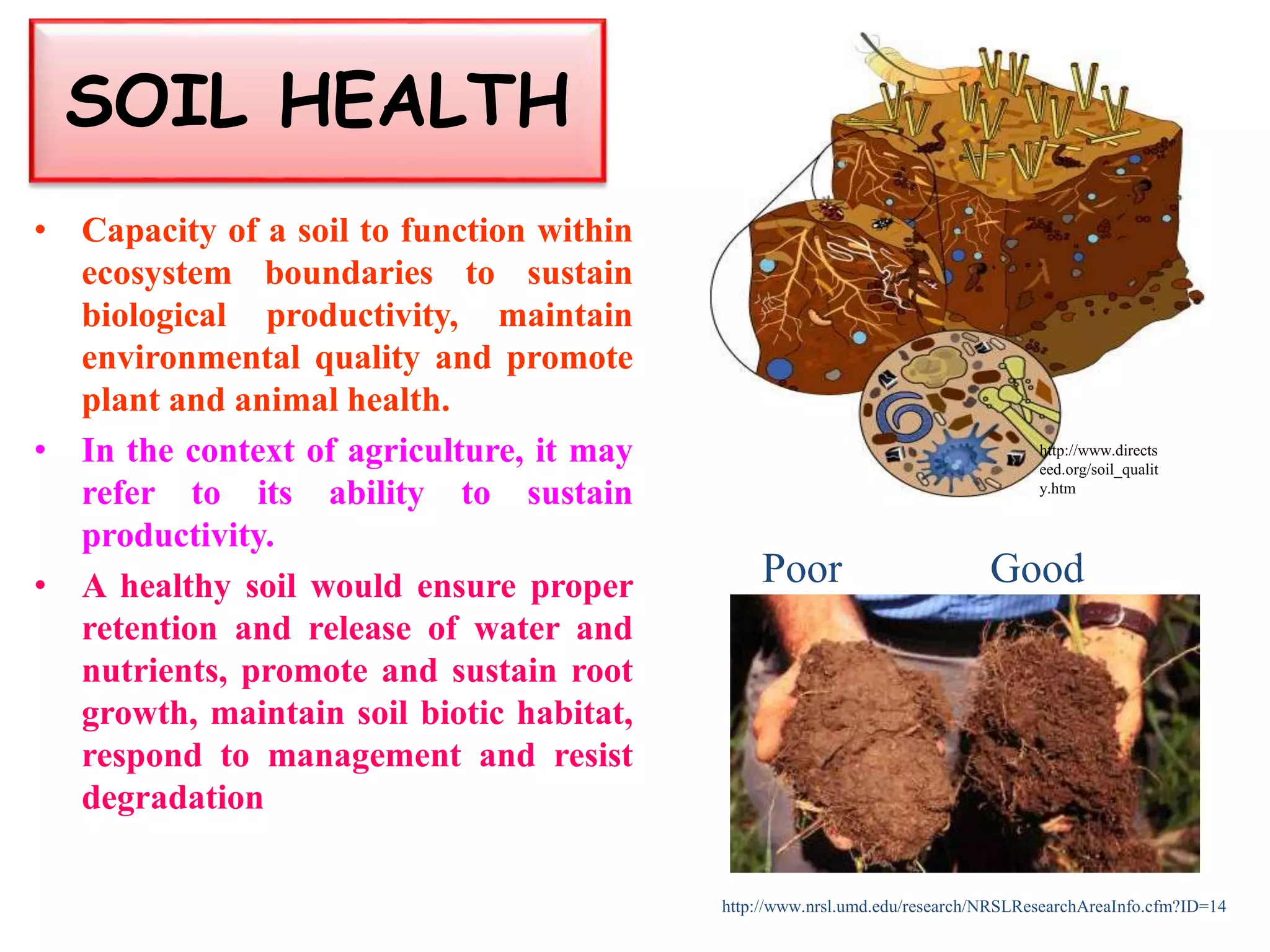 Plant microbe interaction by dr. ashwin cheke | PPTX
