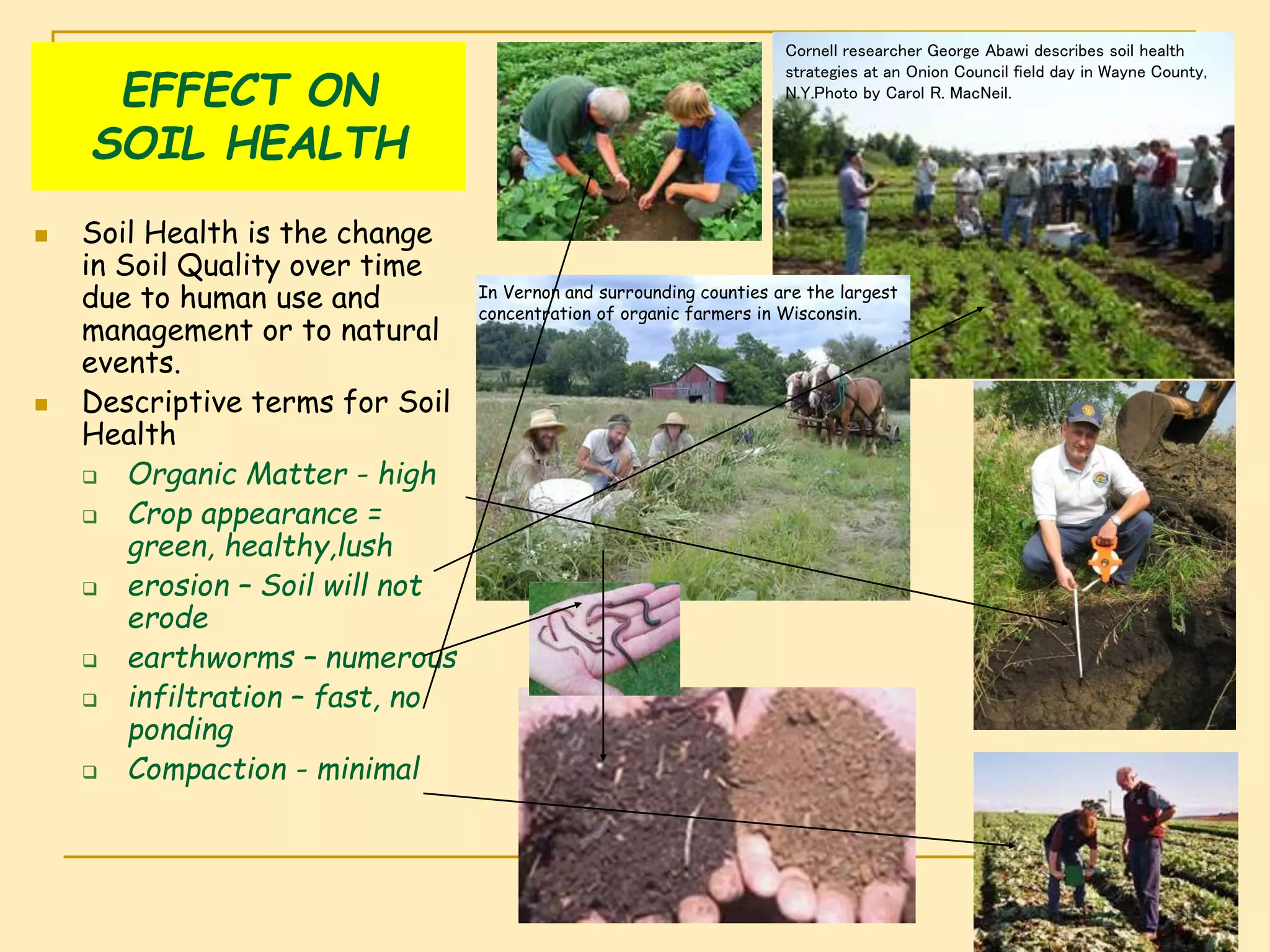 Plant microbe interaction by dr. ashwin cheke | PPTX