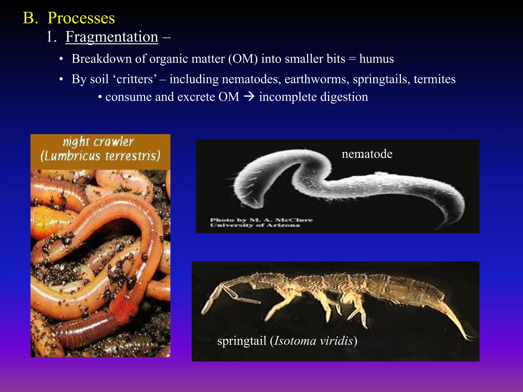 Plant microbe interaction by dr. ashwin cheke | PPTX