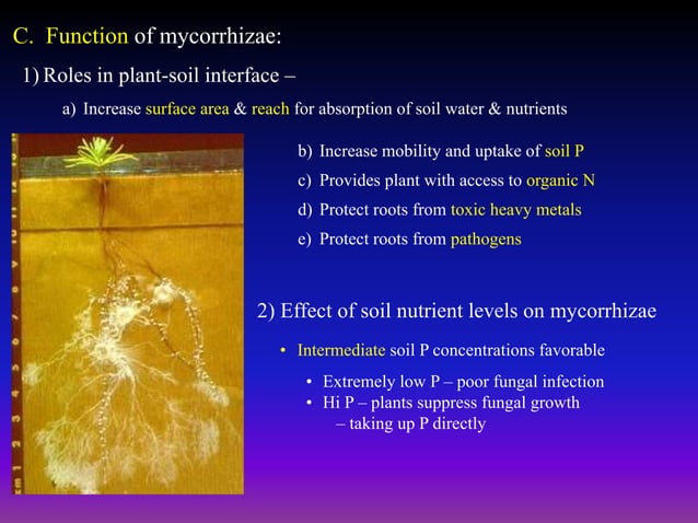 Plant microbe interaction by dr. ashwin cheke | PPTX
