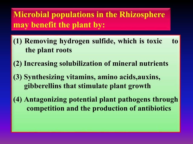 Plant microbe interaction by dr. ashwin cheke | PPTX