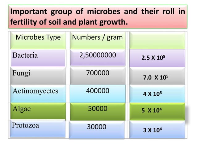 Plant microbe interaction by dr. ashwin cheke | PPTX