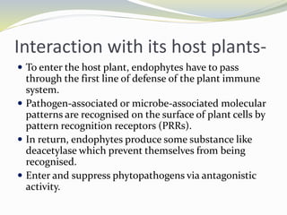 The interaction among endophytes. | PPTX