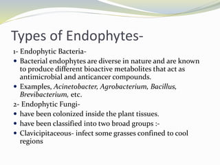 The interaction among endophytes. | PPT