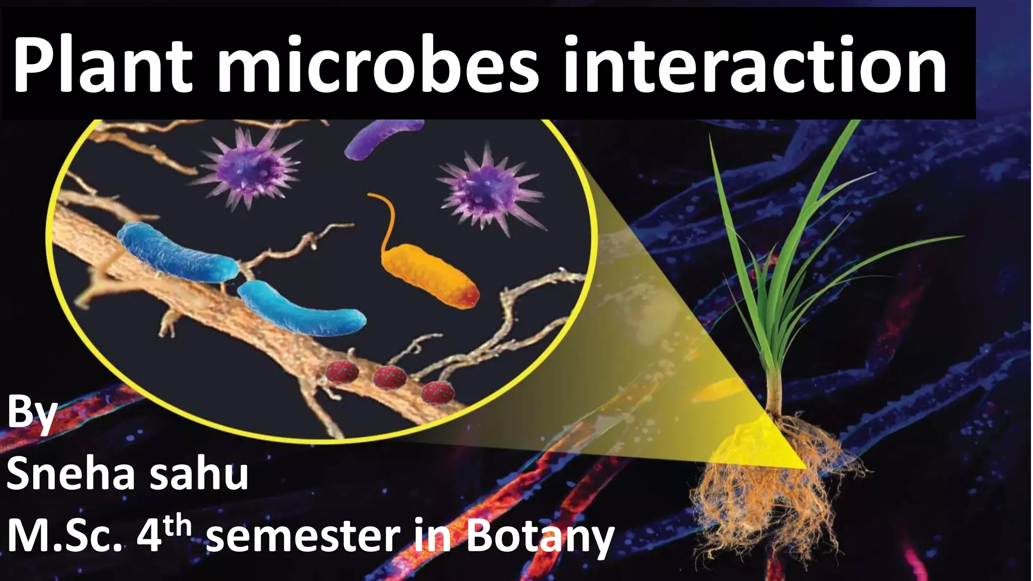 plant microbes interaction.pptx