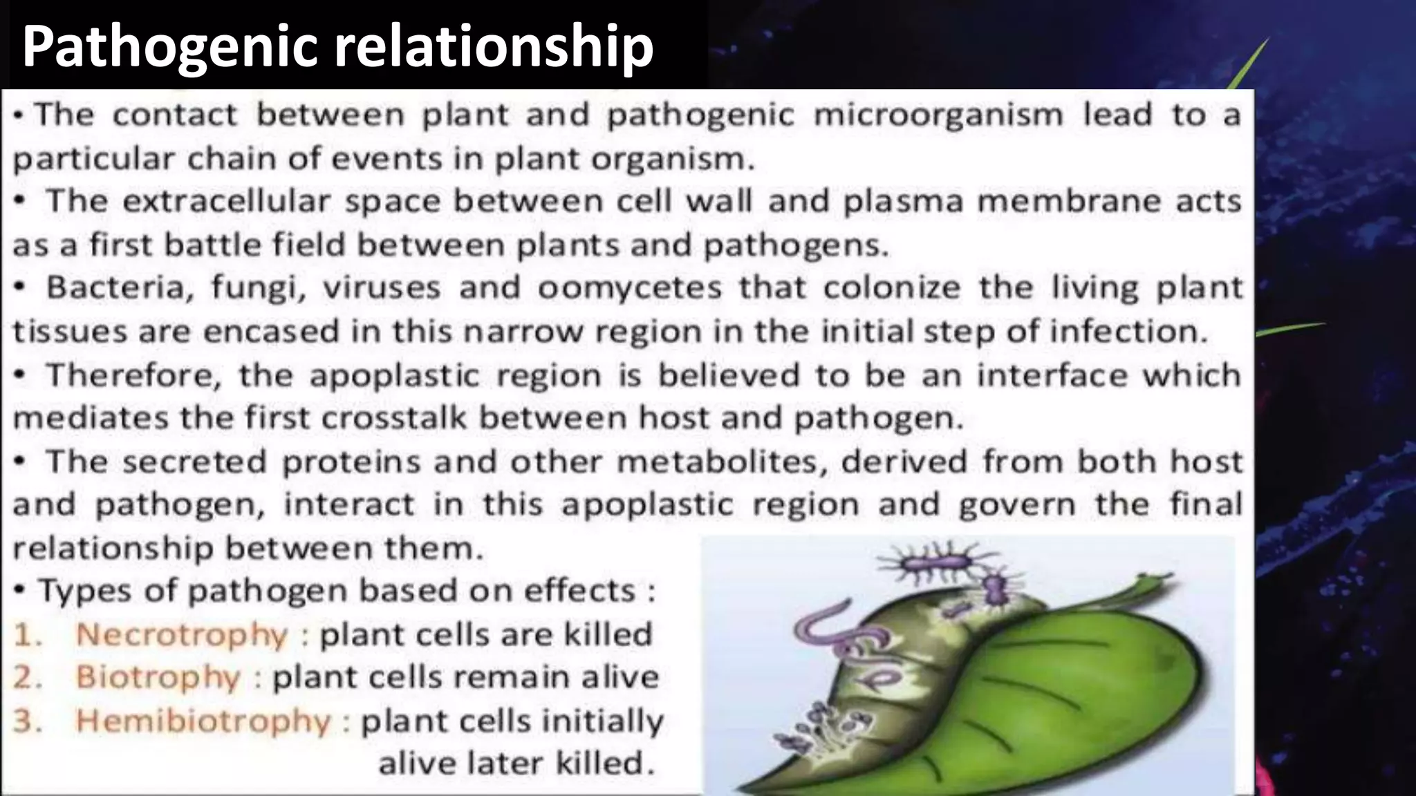 plant microbes interaction.pptx